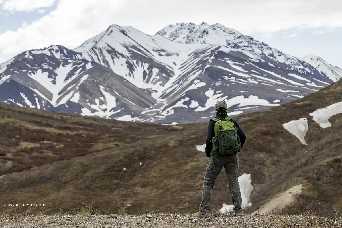 Anchorage Bird Watching: Best Locations and Tips for Enthusiasts