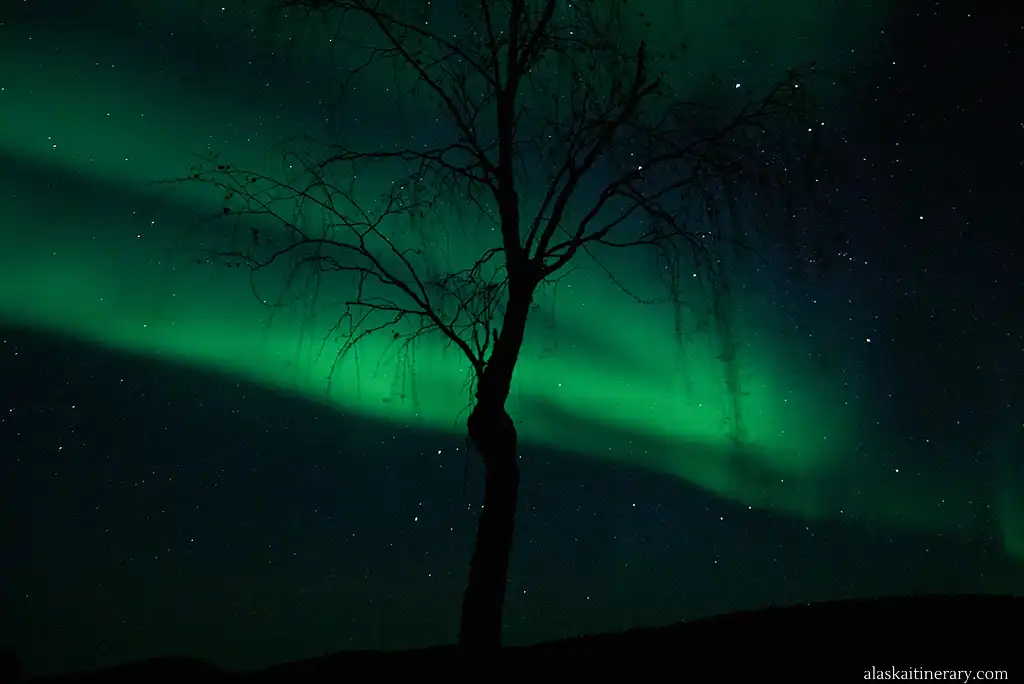 Best Northern Lights Tracking Apps for Alaska: Alerts, Kp, Clouds & Tips