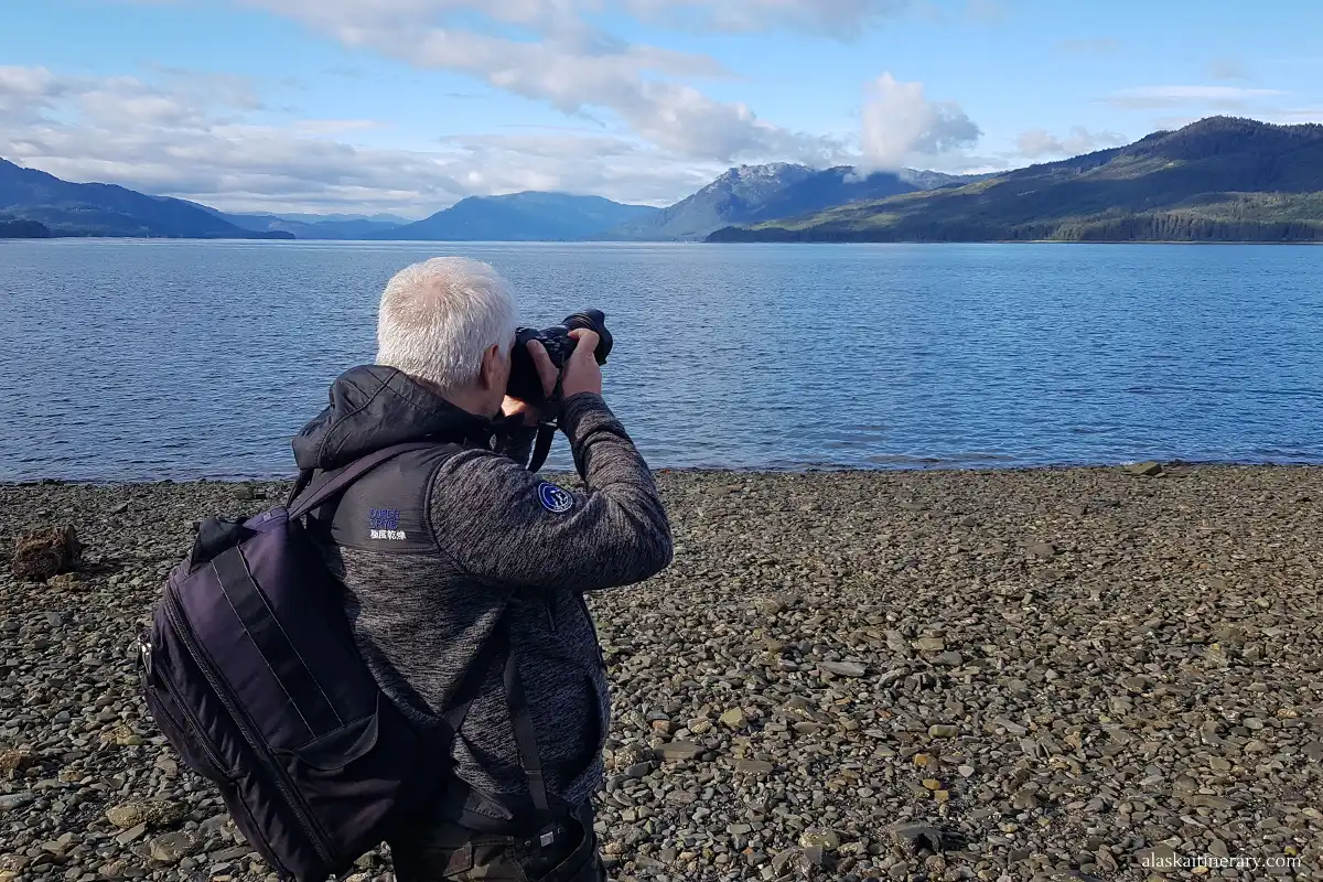 Wildlife Encounters on an Alaska Cruise: What to Expect?