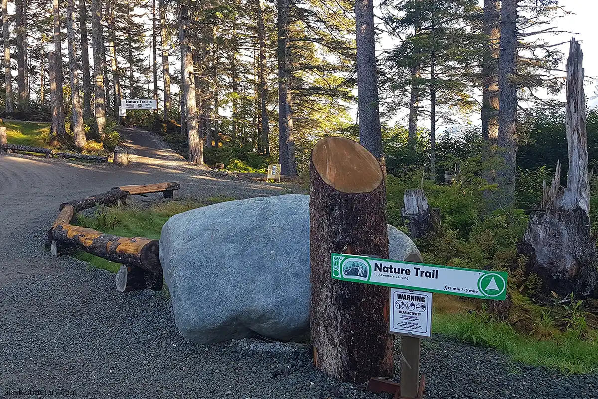 13 Best Things To Do in Icy Strait Point, Alaska, For Free