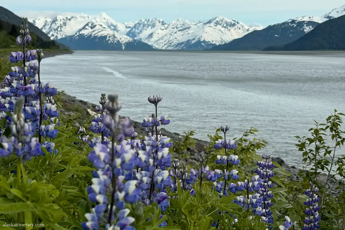 7 Days in Alaska Itinerary: 3 National Parks in a Week