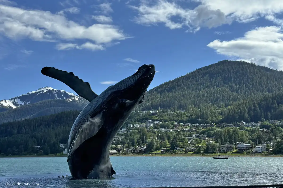 13 Budget-Friendly and Free Things to Do in Juneau, Alaska